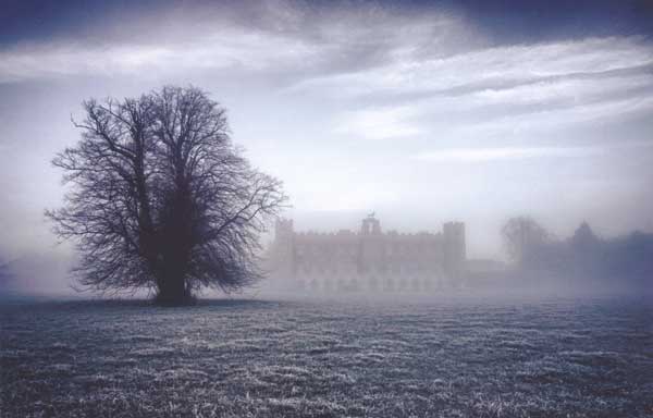Topher Martyn, Head Gardener at Syon