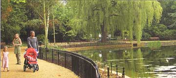 The Pond in Your Park